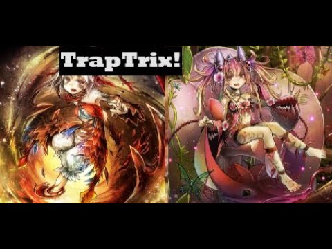 New Traptrix! We Interupt Meme May For Myrmeleo and Mantis! Rafflesia ...