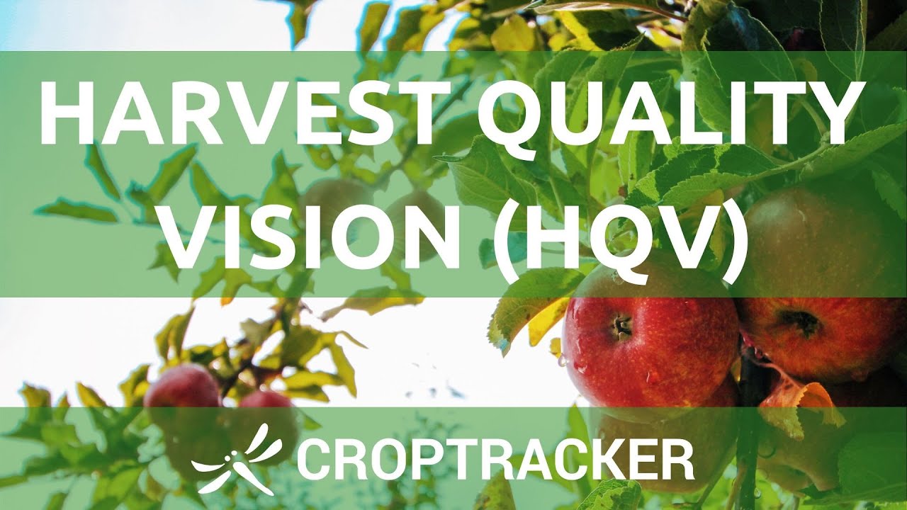 Harvest Quality Vision (HQV) - YouTube
