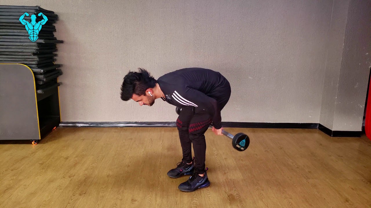 BARBELL EXERCISES - Barbell Triceps KickBack, Standing - YouTube