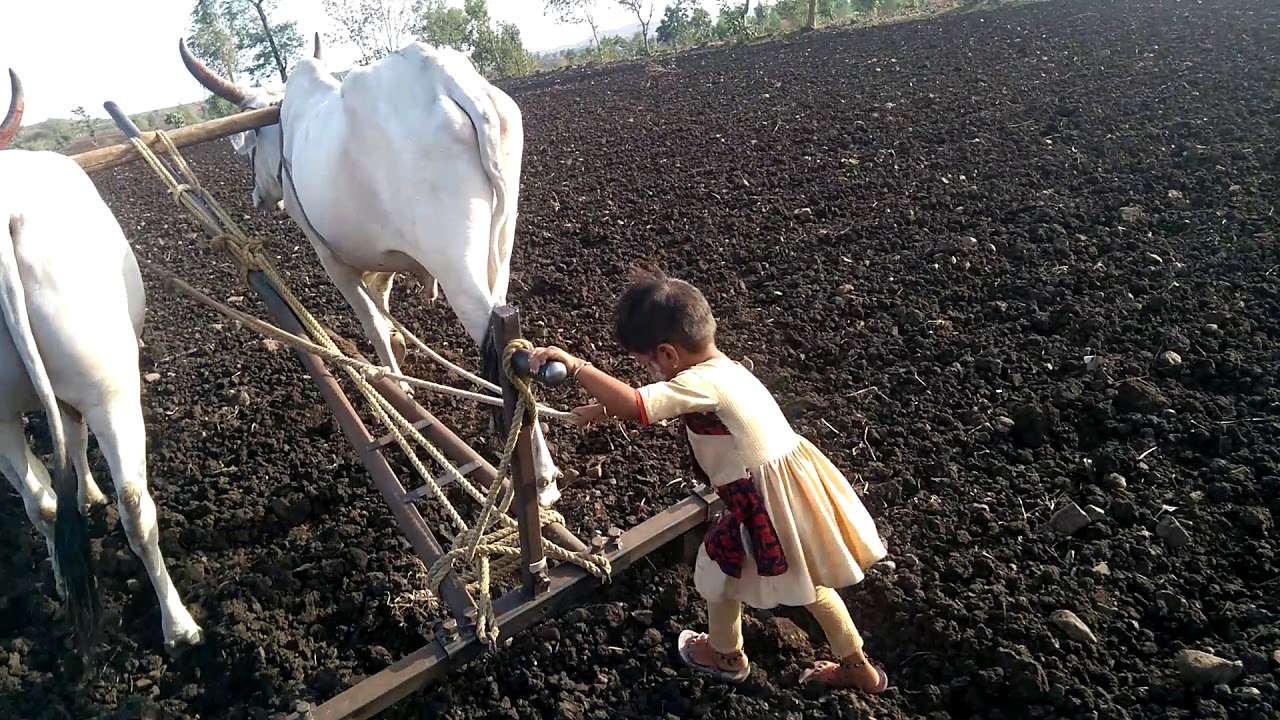 My sweet baby farming work.... - YouTube