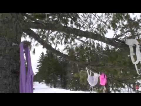Bra Tree Paradise Michigan part 3/4.wmv - YouTube