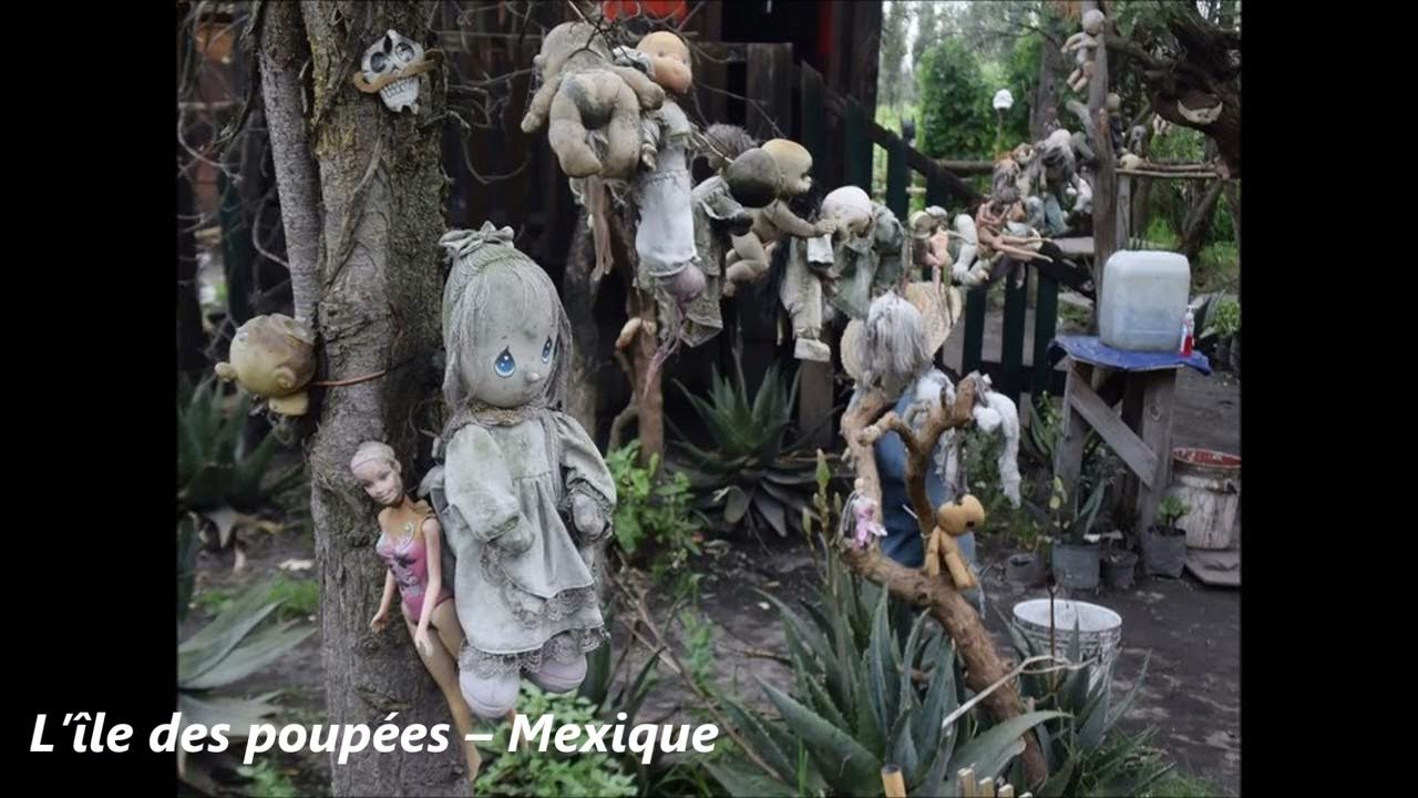 Les forêts hantées les plus terrifiantes du monde (1) - YouTube