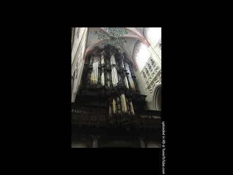 Passacaglia J.S. Bach BWV 582 Leon van den Brand Den Bosch