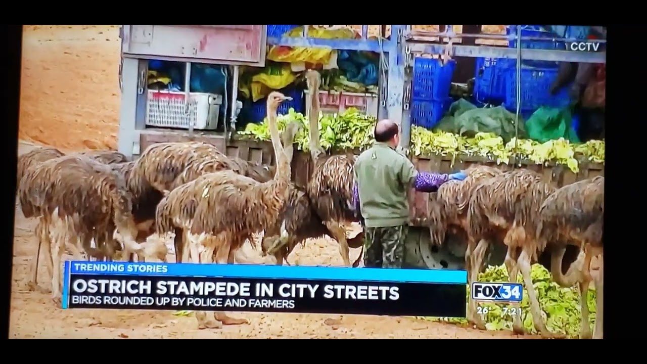 Fox34 with James Eppler and Kristin Carol - YouTube