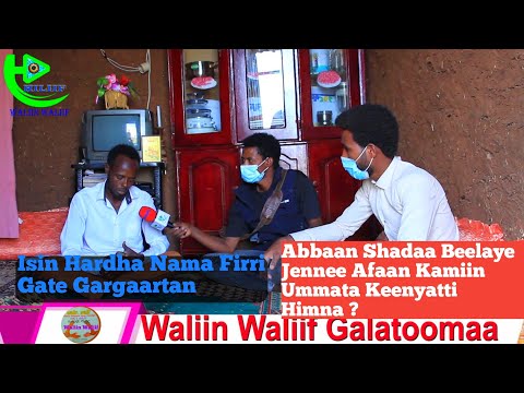 Nama Firri Gate Hunda Gargaaruu Keessaniif Galatooma Abbaa Shadaa (Musa Alo) Waan Garaa Nama myaatu
