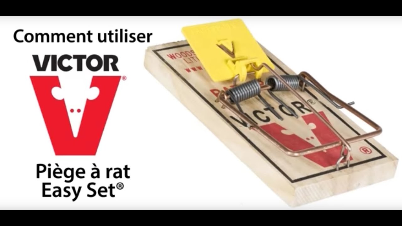 Piège à rat Victor® Easy Set® - Victorantinuisible.fr - YouTube