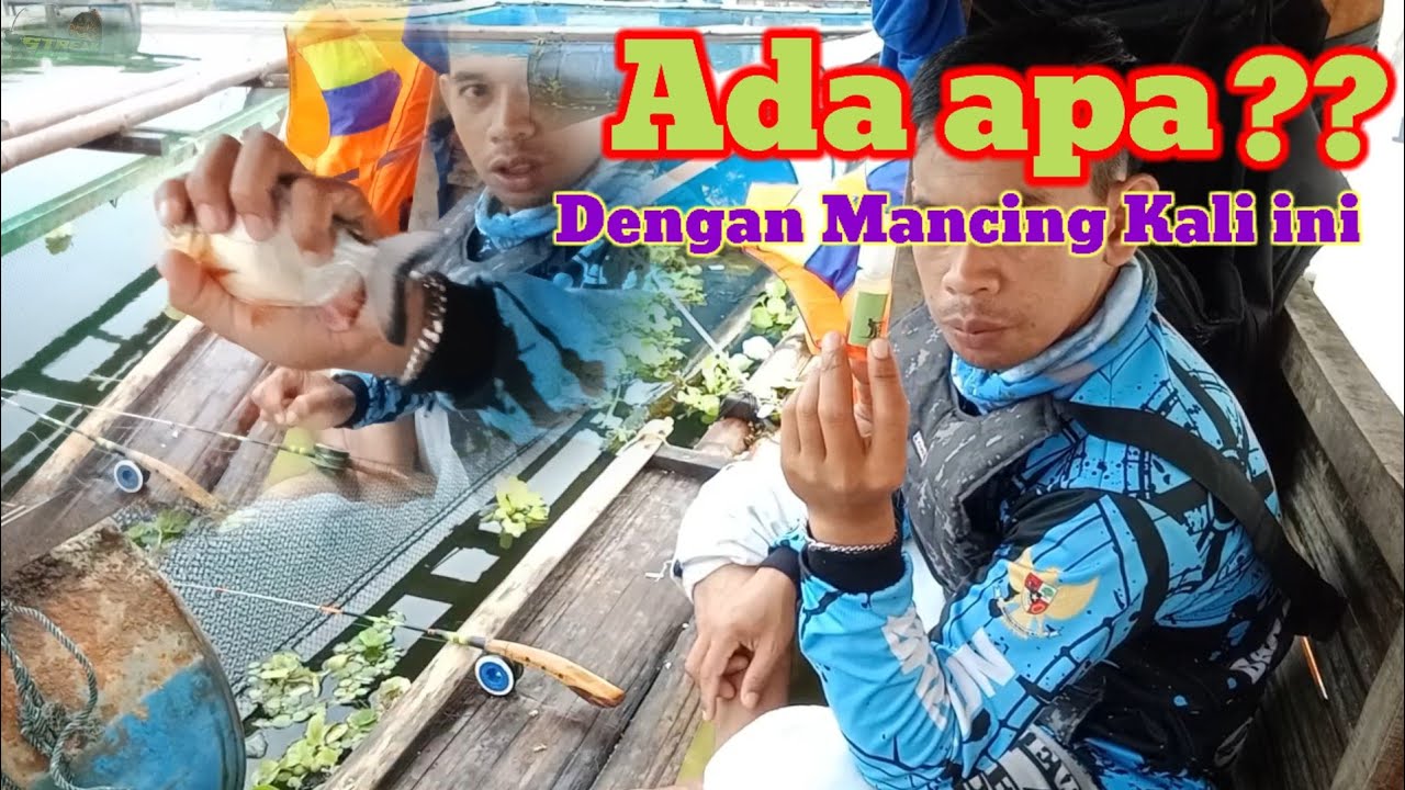 ADA APA DENGAN MANCING HARI INI || MANCING KJA CIRATA TERBARU MINGGU INI‎@STREAKFISHING - YouTube