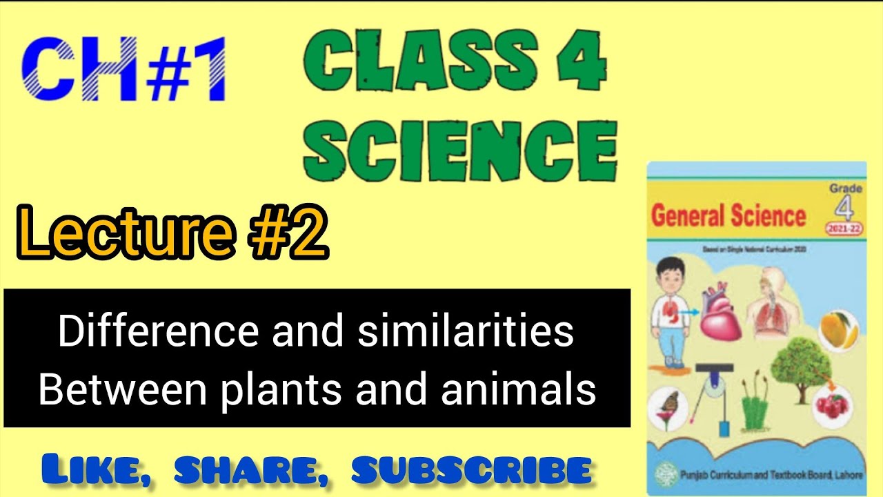 "Similarities and Differences Between Plants and Animals | Class 4 ...