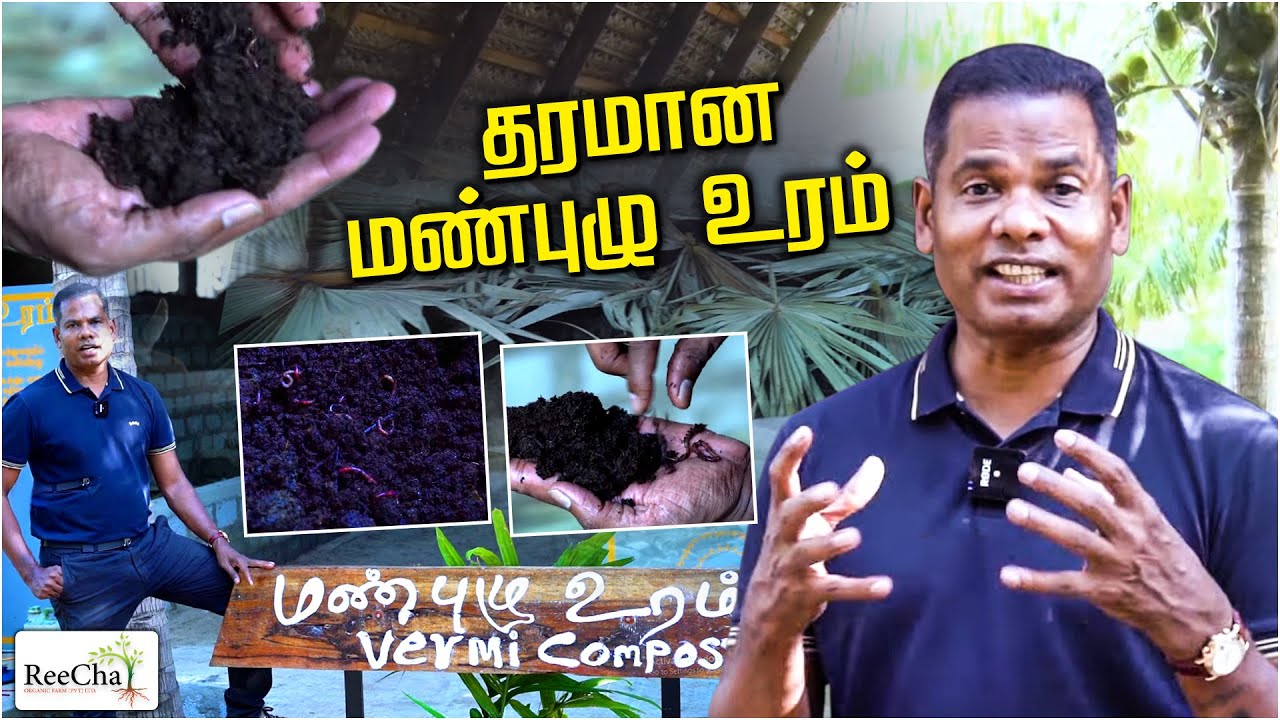 Complete Tour of VermiCompost Making in Reecha | Best Hotel in Sri ...