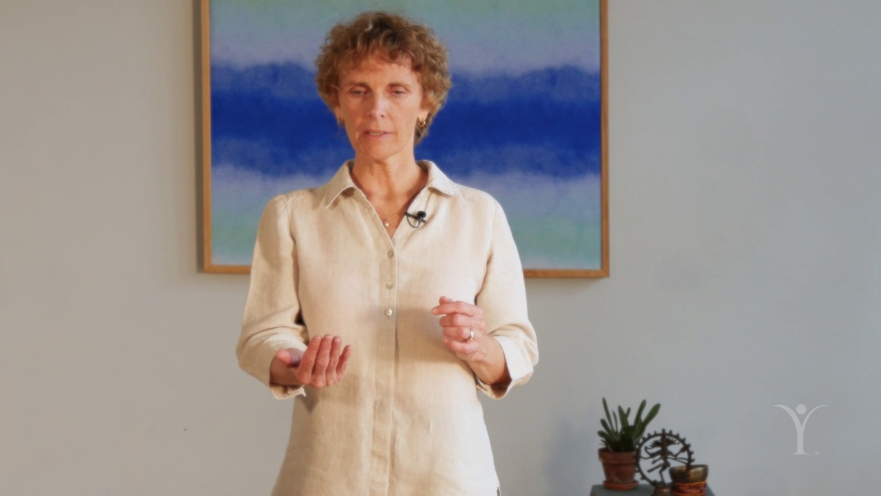 The Source of Yoga—Himalayan Institute Yoga Teacher Training - YouTube