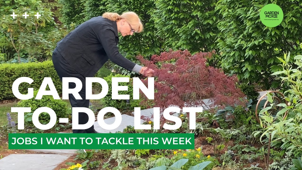 How To Create Your Weekly Garden To-Do List - YouTube