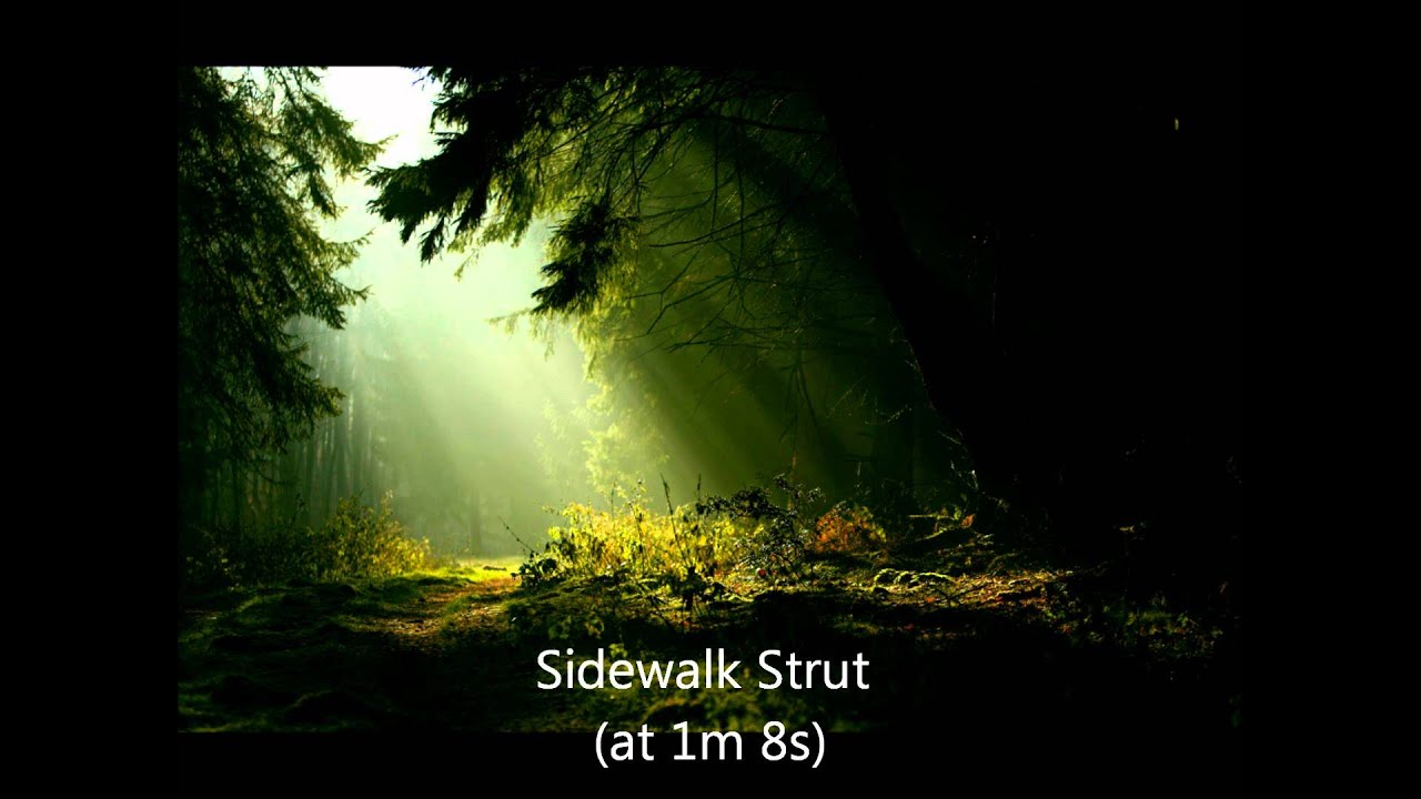 Sidewalk Strut - YouTube