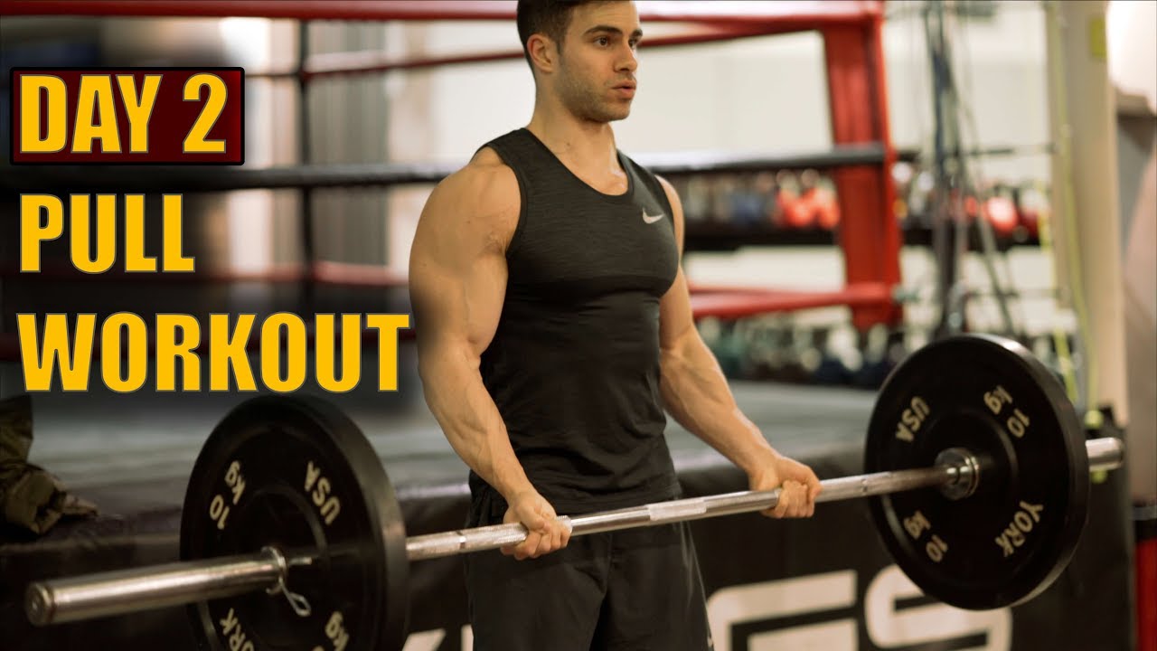Day 2 - Pull Workout (Back and Biceps) Full Gym Workout - YouTube