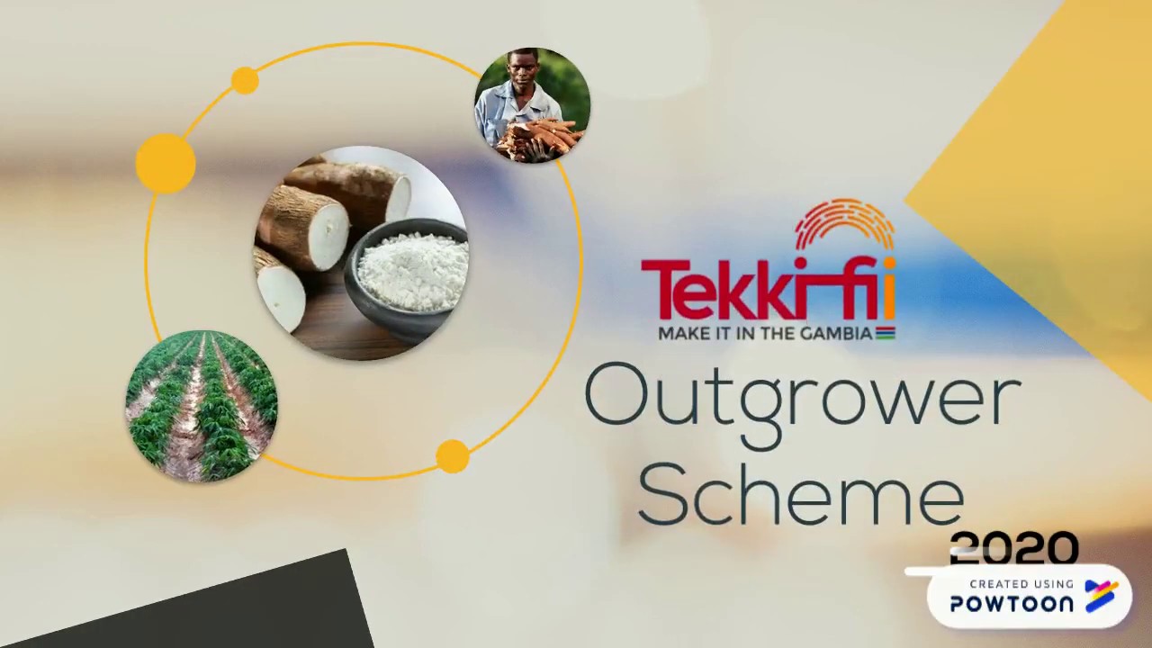 Outgrower Scheme - YouTube