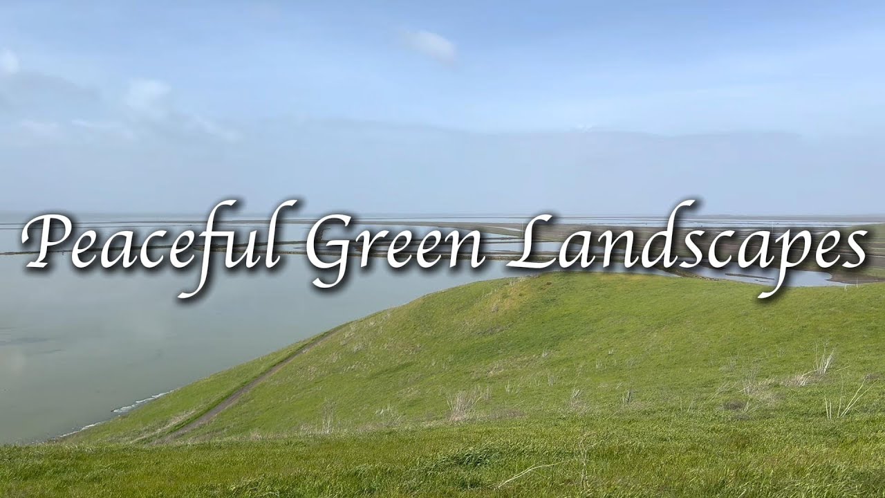 Peaceful Green Landscapes | Relaxing Nature Ambience for Meditation ...