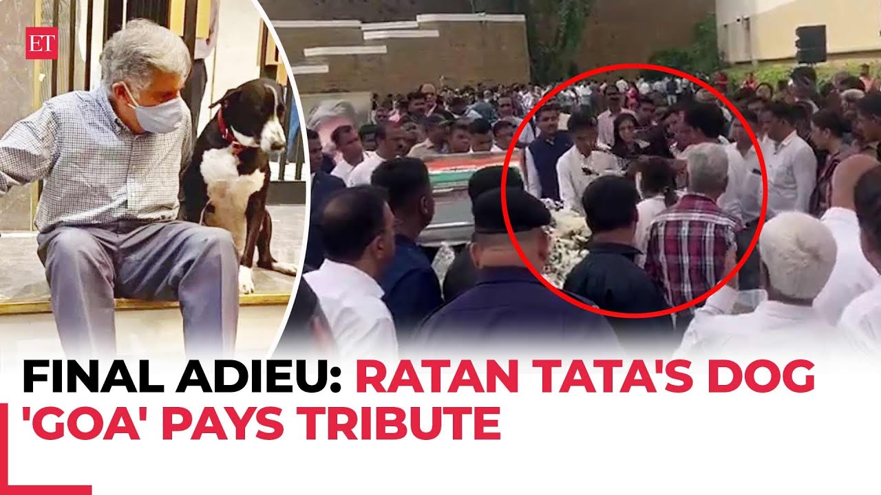 Ratan Tata cremated with full state honours; Tata's dog, 'Goa' pays ...