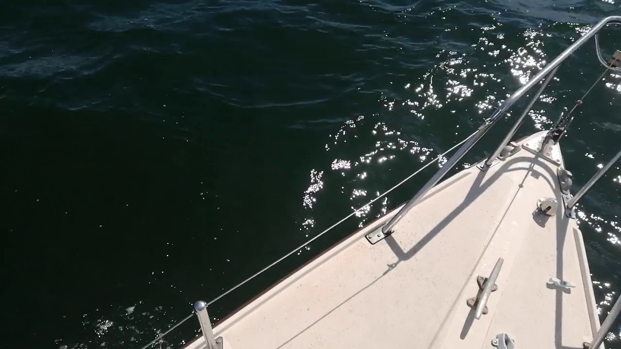 Sailing strangford lough on a Corribee - YouTube