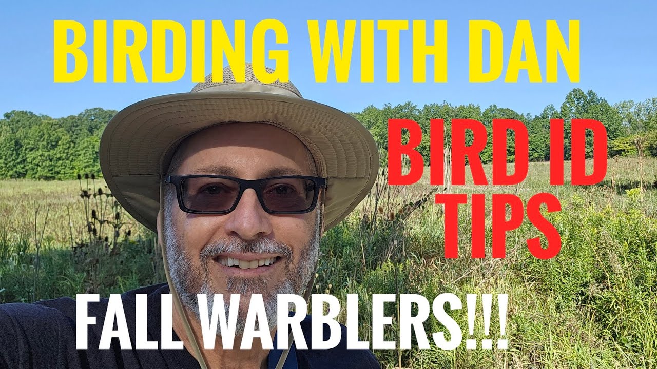 Birding with Dan "Fall Migration & Birding ID Tips" - YouTube