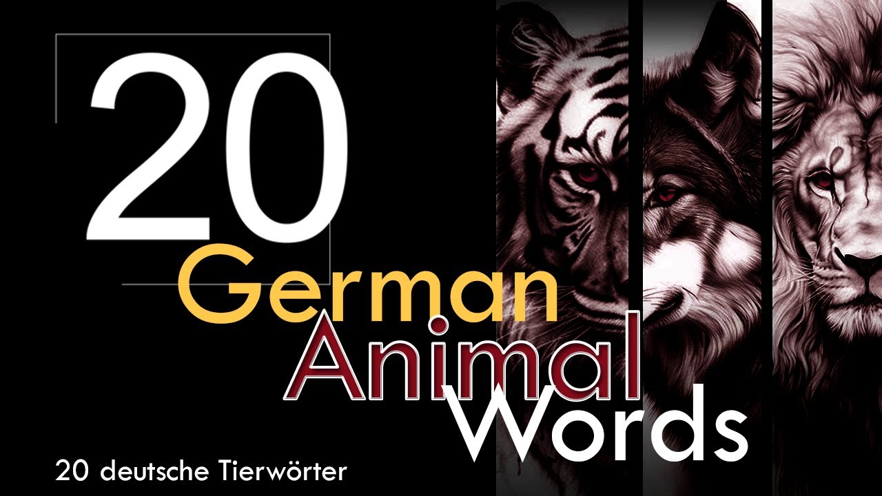 I Learned German in 1 Month Using FUNNY ANIMAL TALES - YouTube