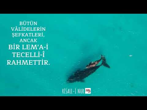 365 GÜN RİSALE-İ NUR 9.GÜN/ALLAH'IN ŞEFKATİ NE KADAR MUAZZAM!#En/#güzel/#çok/#söz#dini/#her/#sözler