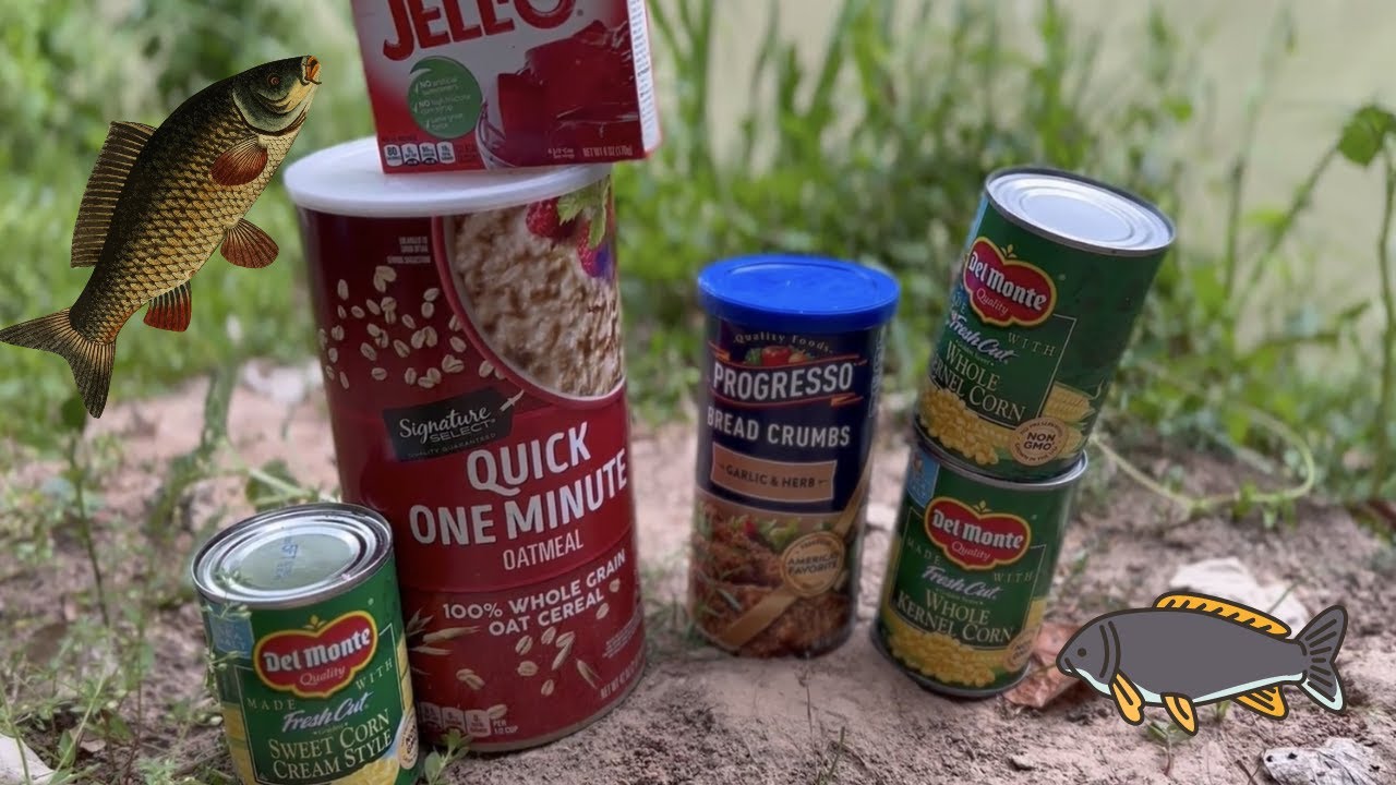 Boost Your Carp Fishing Success with this Game-Changing Pack Bait ...