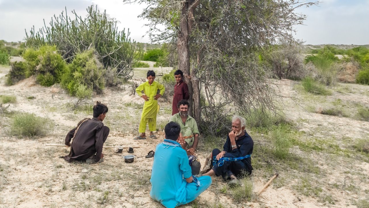 Maldhari's Of Pachham | Maldhari's Of Kutch | Sort documentary Video By ...