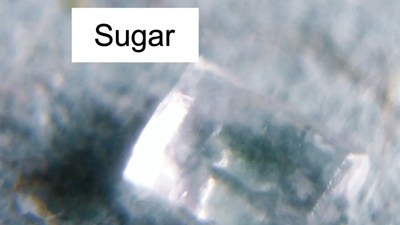 Salt vs Sugar Under Microscope - YouTube