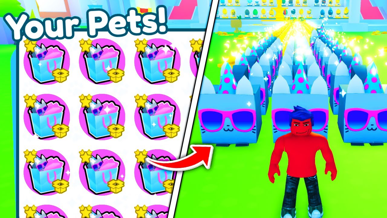 How to Hatch *INFINITE* HUGE PARTY CAT in Pet Sim X! (HARDCORE UPDATE ...