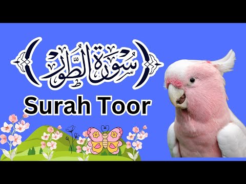 Surah Toor | Beautiful Quran Recitation by Hafiz Muhammad Haseeb Atari ...
