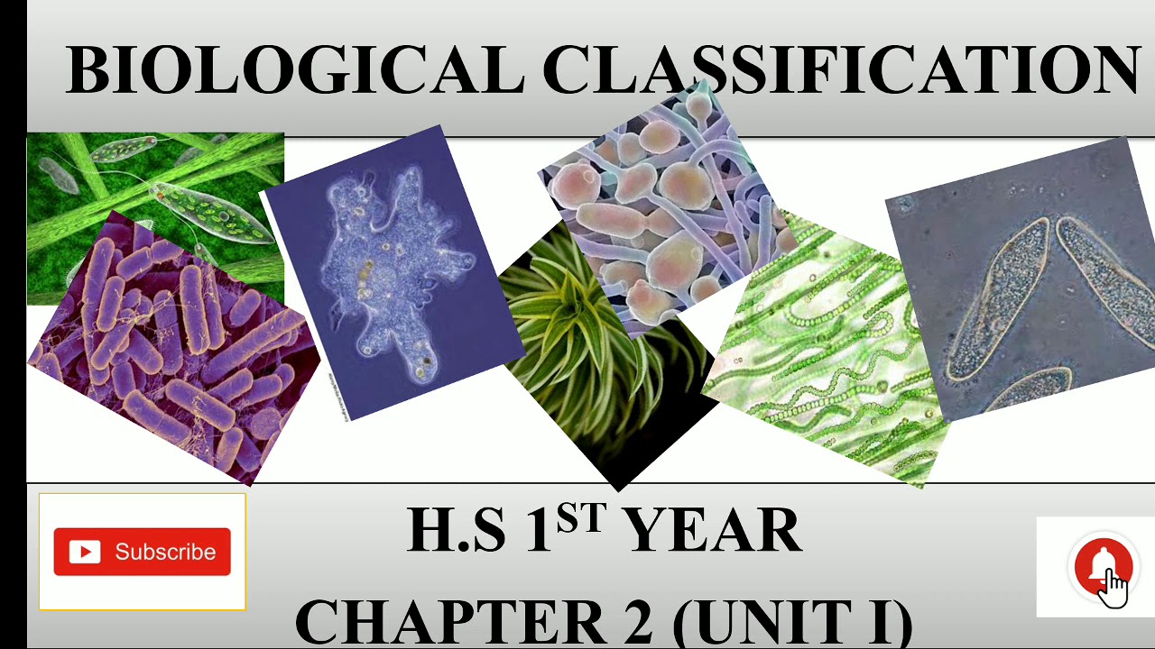 Biological classification (lecture 1) - YouTube