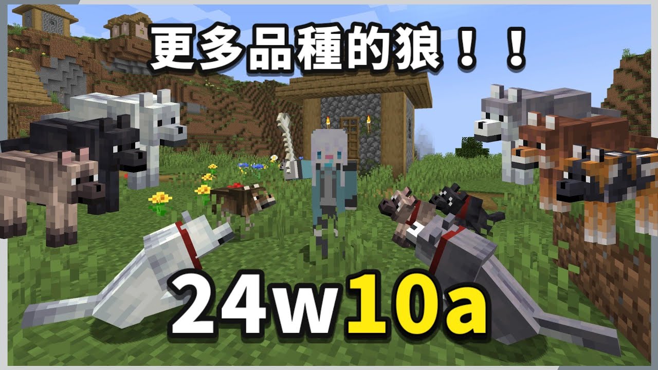 Minecraft | 終於等到了！超多新品種的狼！| Java版快照「24w10a」介紹 - YouTube