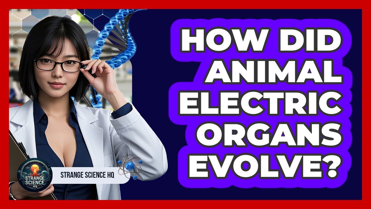 How Did Animal Electric Organs Evolve? - Strange Science HQ - YouTube