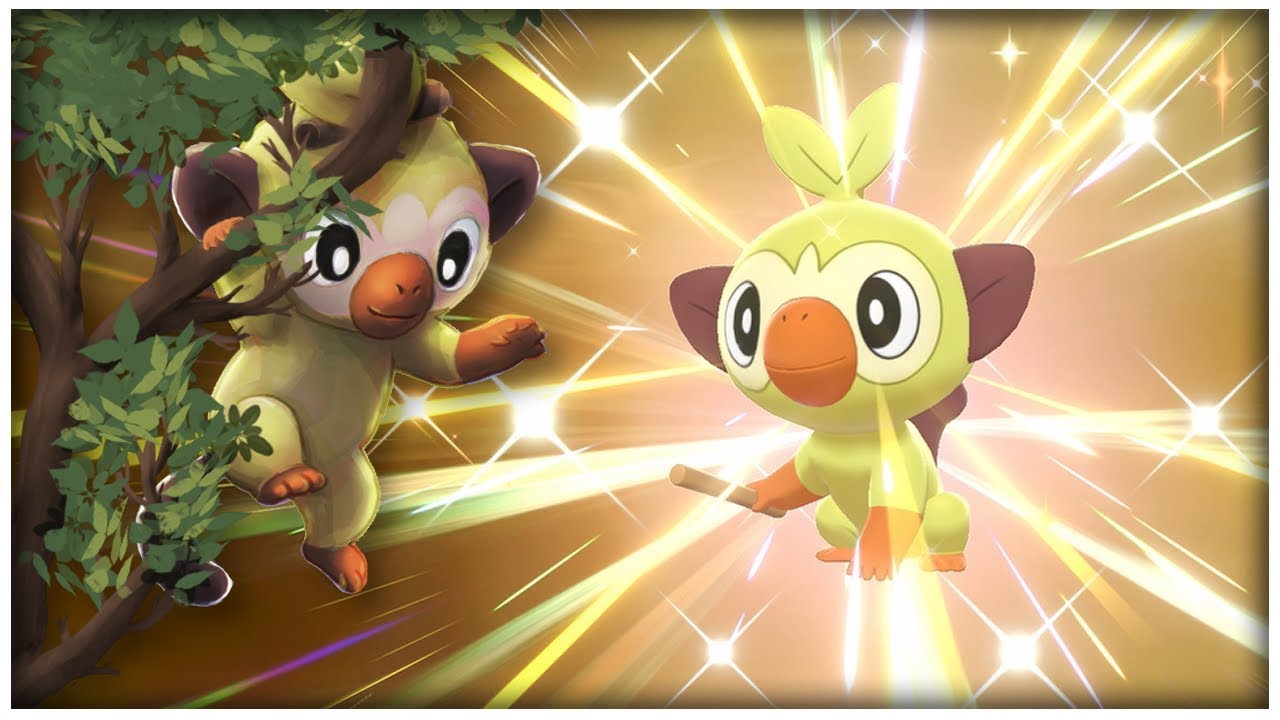 [LIVE] Shiny Grookey after 665 eggs in Shield! [Full Odds] - YouTube