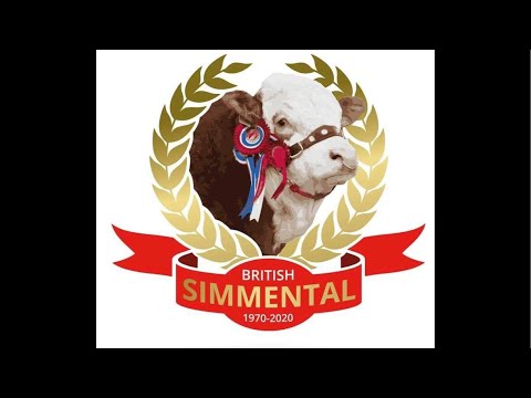 Simmental Show at Stirling 10.00am on Sunday 19th February’23 - YouTube