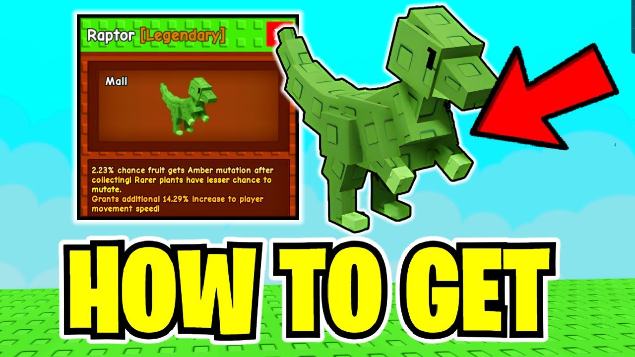 How To GET RAPTOR & SHOWCASE In GROW A GARDEN! (FULL GUIDE) ROBLOX ...