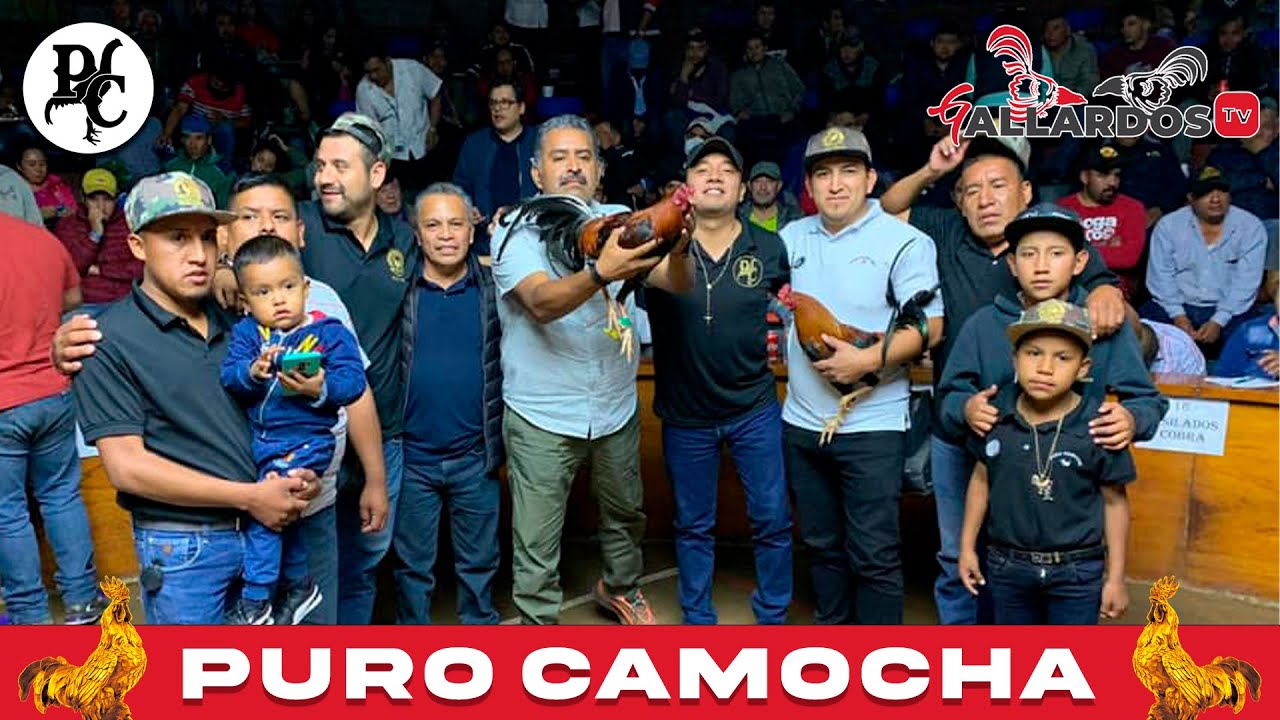 OSIRIS GUZMAN DEL PARTIDO "PURO CAMOCHA" (ENTREVISTA) - YouTube
