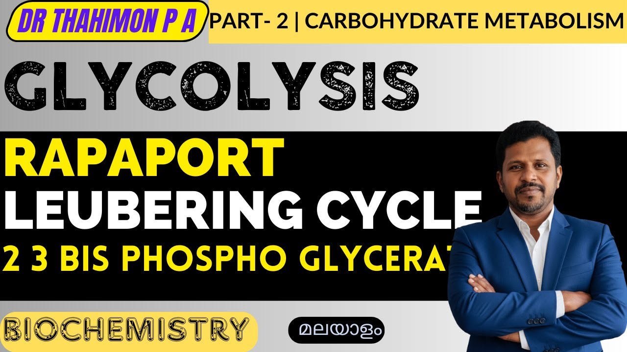 Rapaport Luebering Pathway Malayalam Glycolysis Alternate Pathway ...