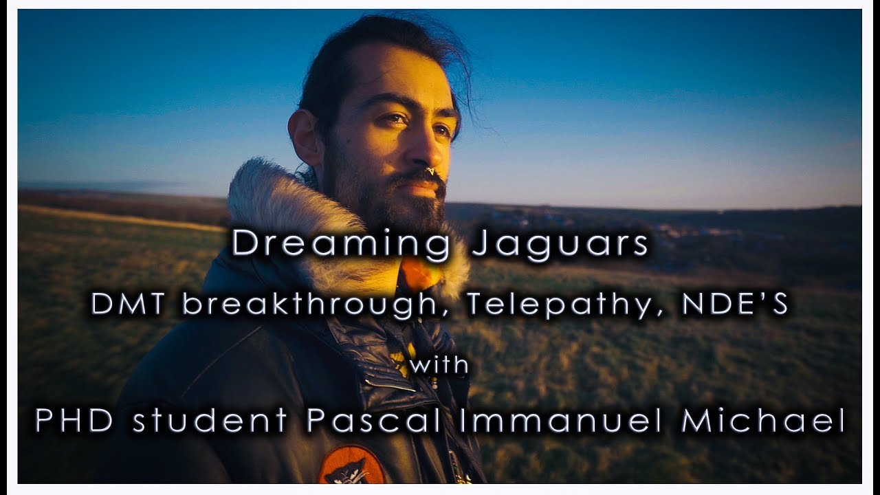 DMT breakthrough experience with Pascal Immanuel Michael (David Luke ...