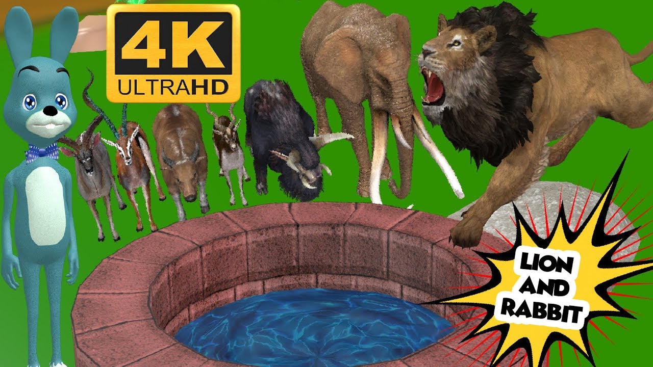 The Old Lion & Clever Rabbit English Moral Story | 3D Fairy Tales ...