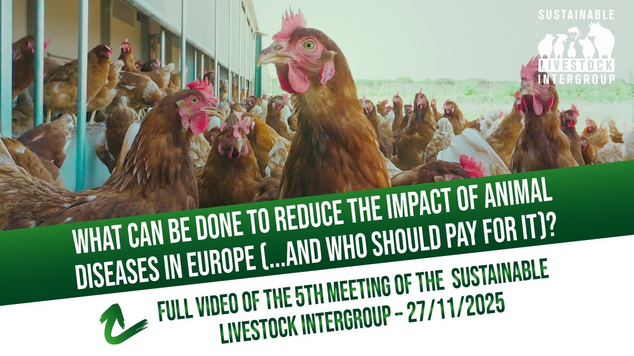 What can be done to reduce the impacts of animal disease in Europe ...