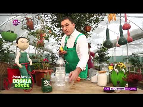 Doğala Dönüş - Doğal Malzemelerle Çaydanlık Temizliği- 18 01 2019