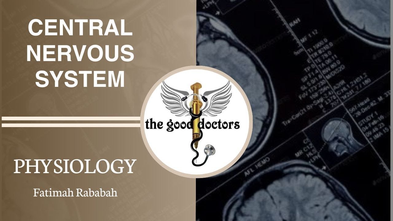 Lecture 5 - neurohormonal systems and memory :Physiology (CNS) - YouTube