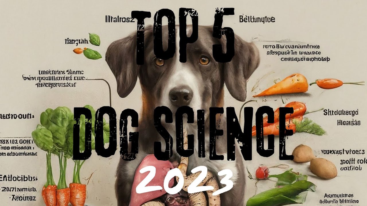 Top 5 Groundbreaking Dog Science Discoveries of 2023 - YouTube