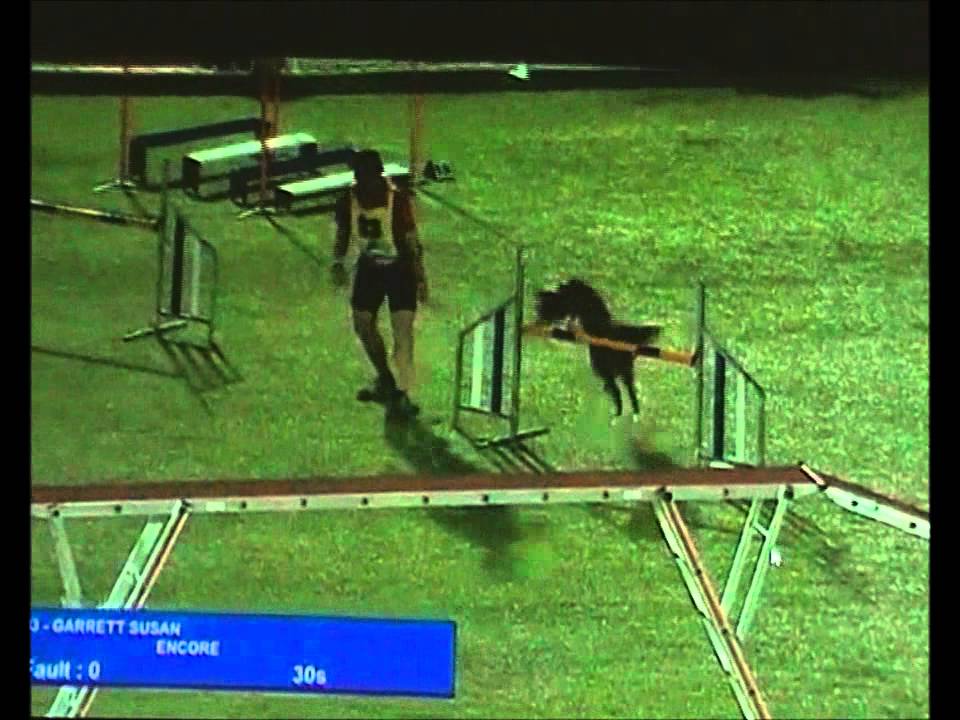 AWC 2011 Susan Garrett & Encore - Agility Individual - YouTube