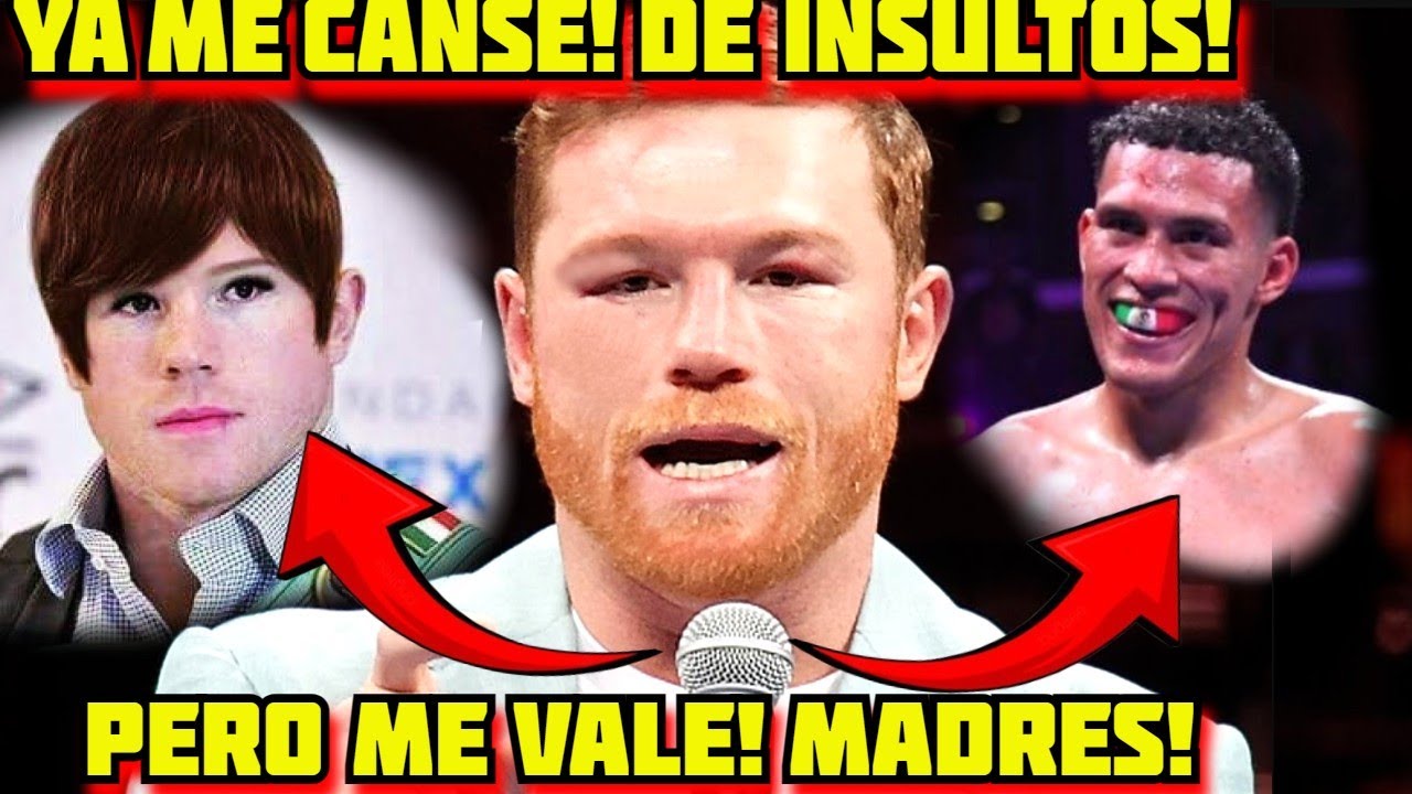 Canelo! Ya estoy Cansado De Que Me insulten Pero Me Vale Madres Lo Que ...