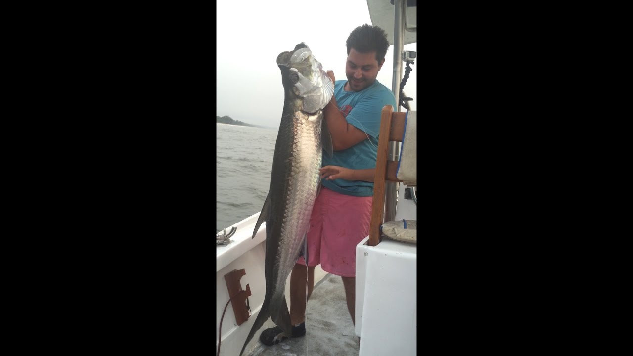 Pêche tarpon - Gabon Decembre 2015 (Premiere touche un peu flou) - YouTube