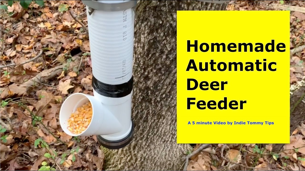 Deer Feeder Trough Automatically Feeds corn - YouTube
