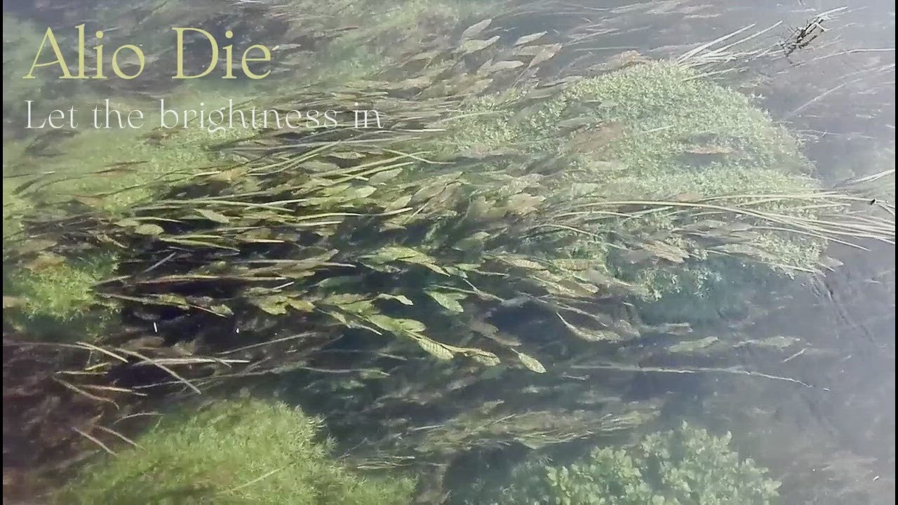 Alio Die - Let the brightness in - First and Second track Samples - YouTube