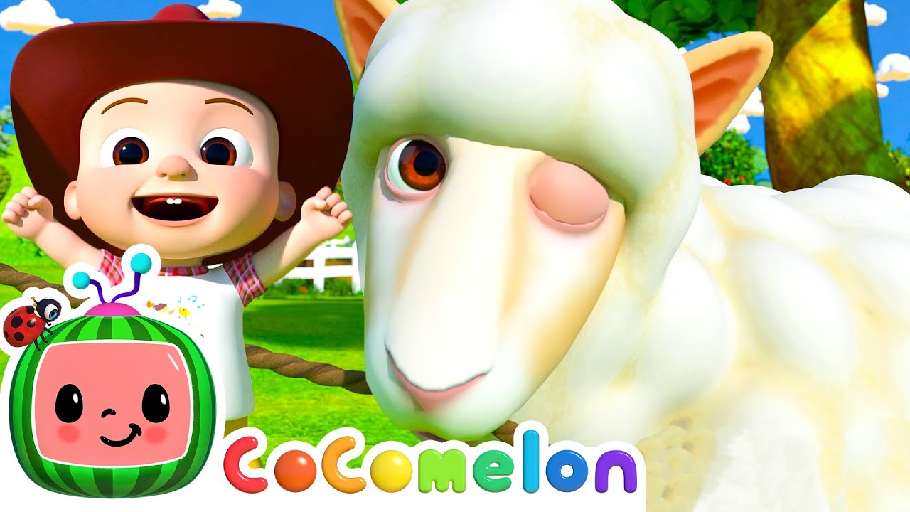 Look It's Baa Baa White Sheep's! | CoComelon Nursery Rhymes - YouTube