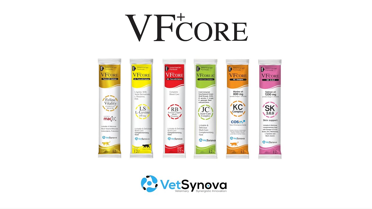 VF+ Core: Feline Vitality - สุขภาพดี ที่แสนอร่อย - YouTube